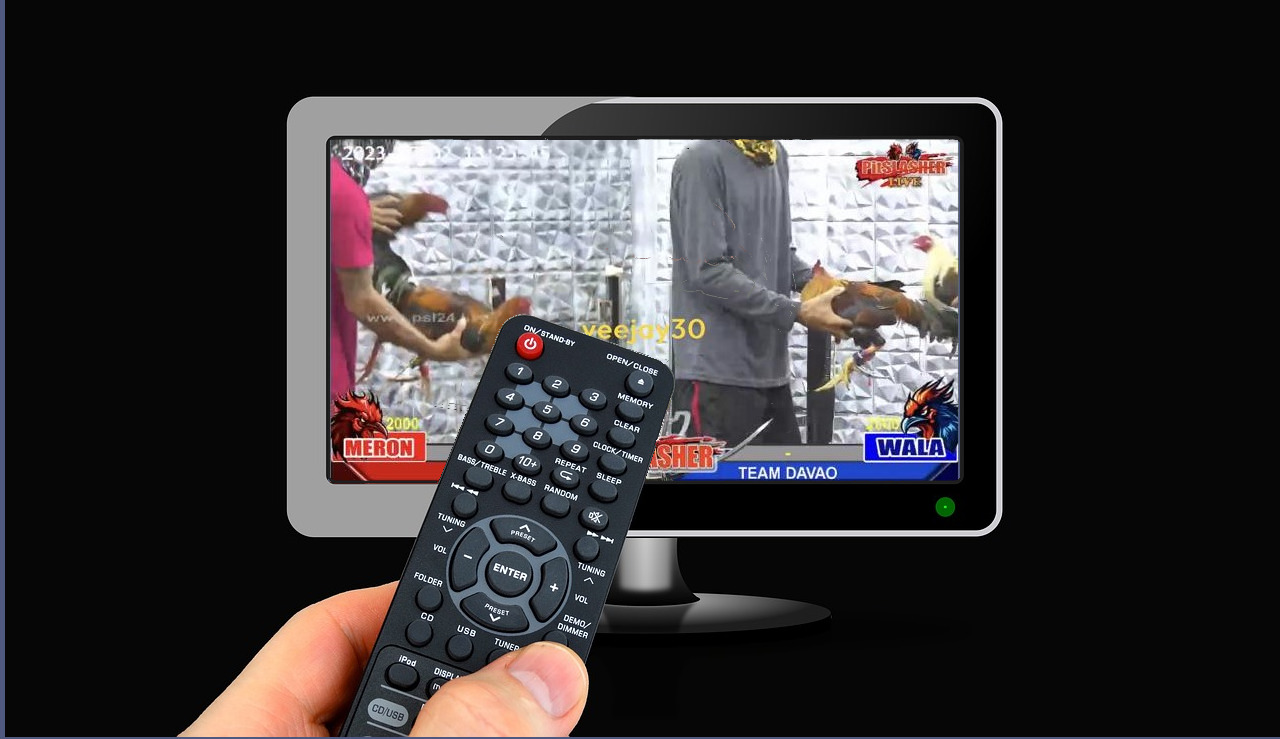 About - Sabong Grandmaster Cup